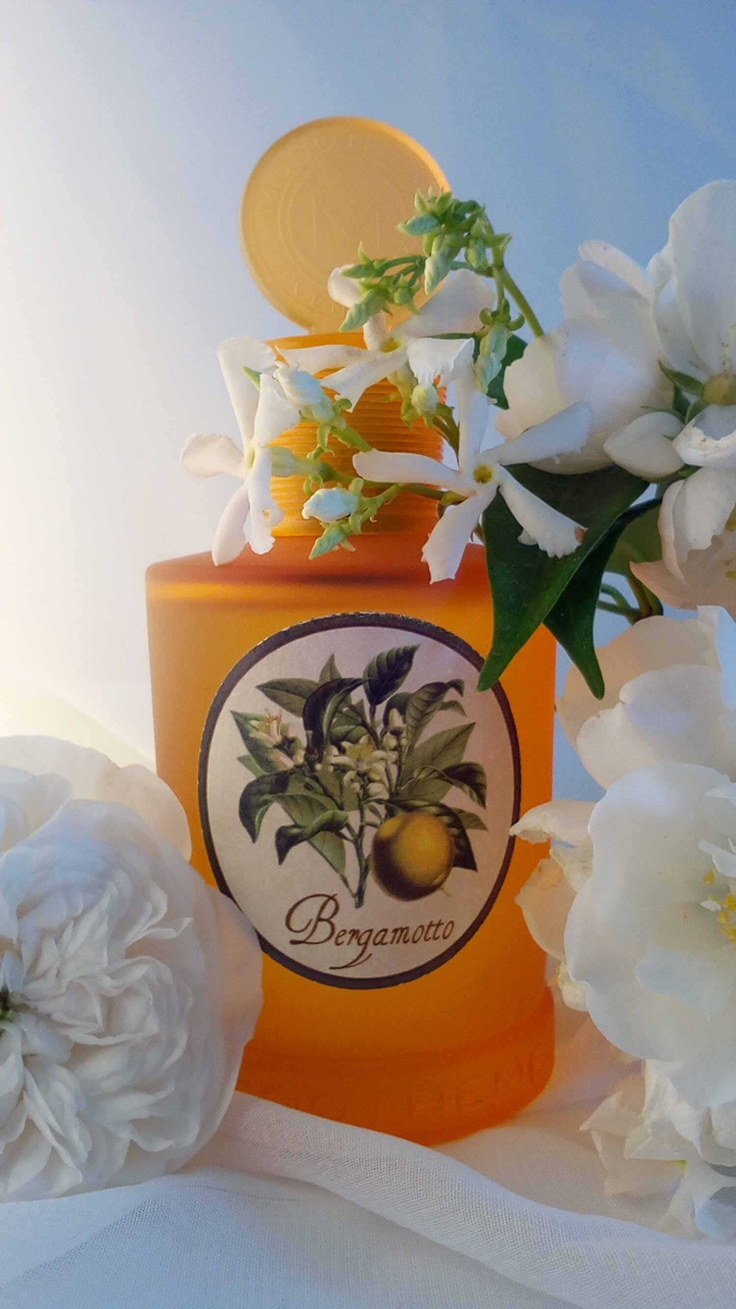 Bergamotto Monotheme Venezia perfume - a fragrância Compartilhável