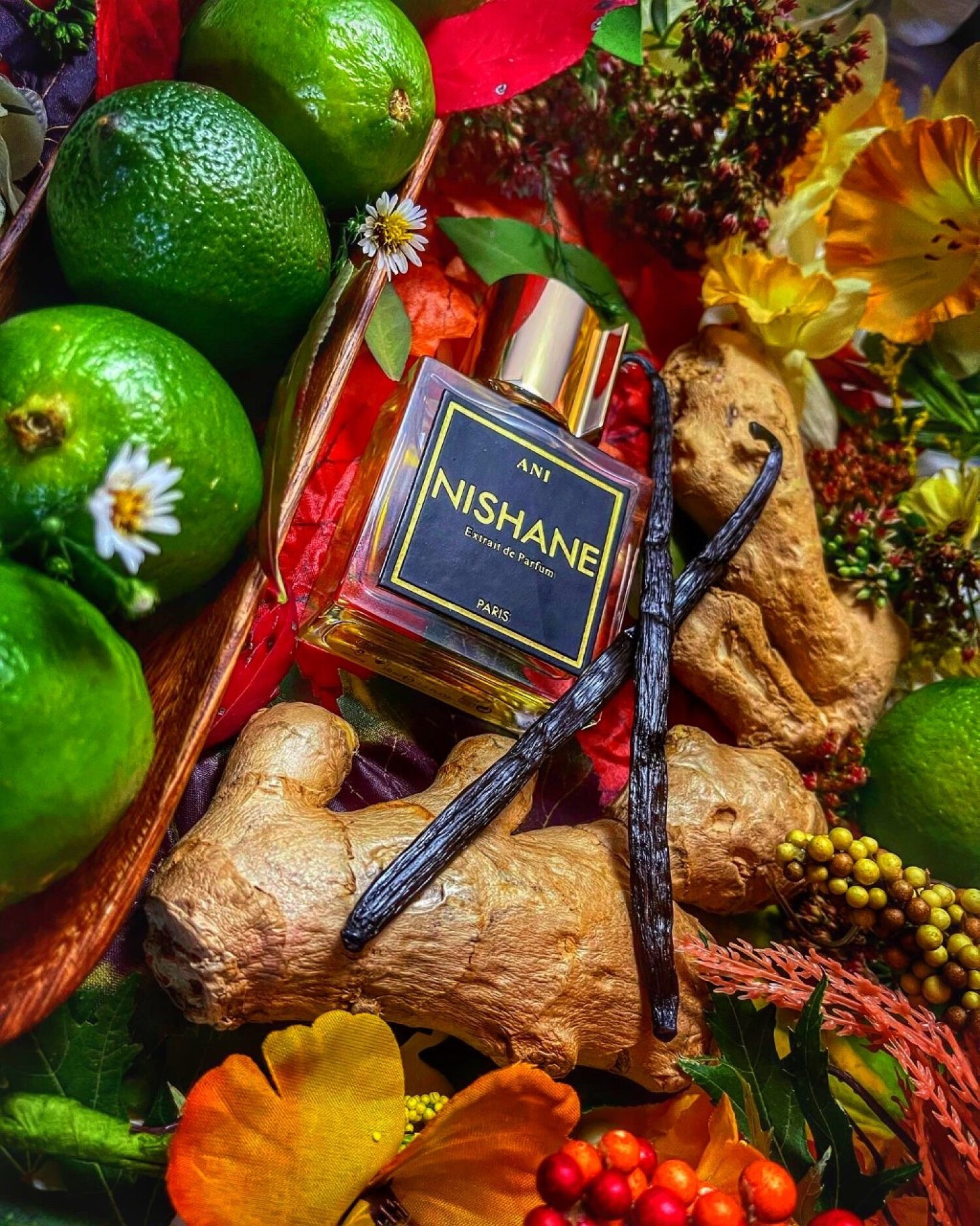 Ani Nishane Parfum - ein es Parfum für Frauen und Männer 2019