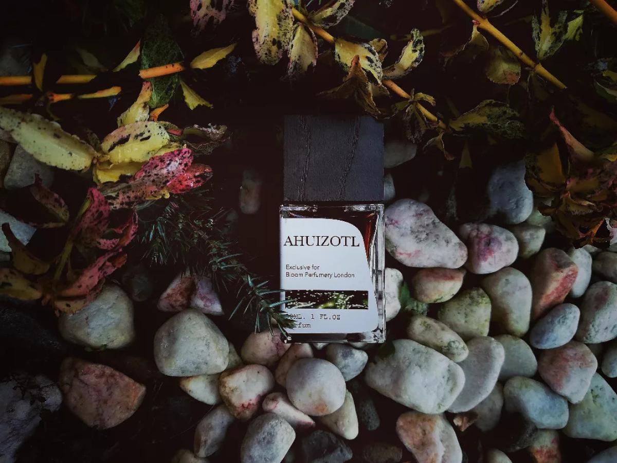 Ahuizotl Prin parfum - un nouveau parfum pour homme et femme 2022