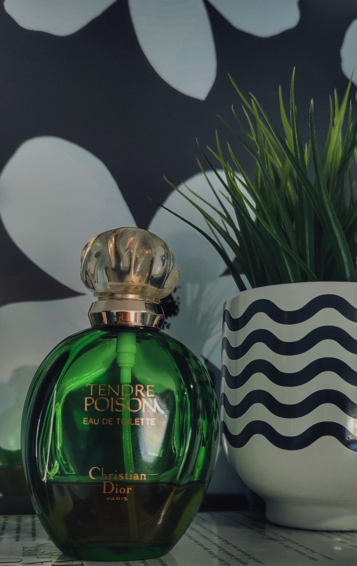 Tendre Poison Dior perfume - a fragrância Feminino 1994