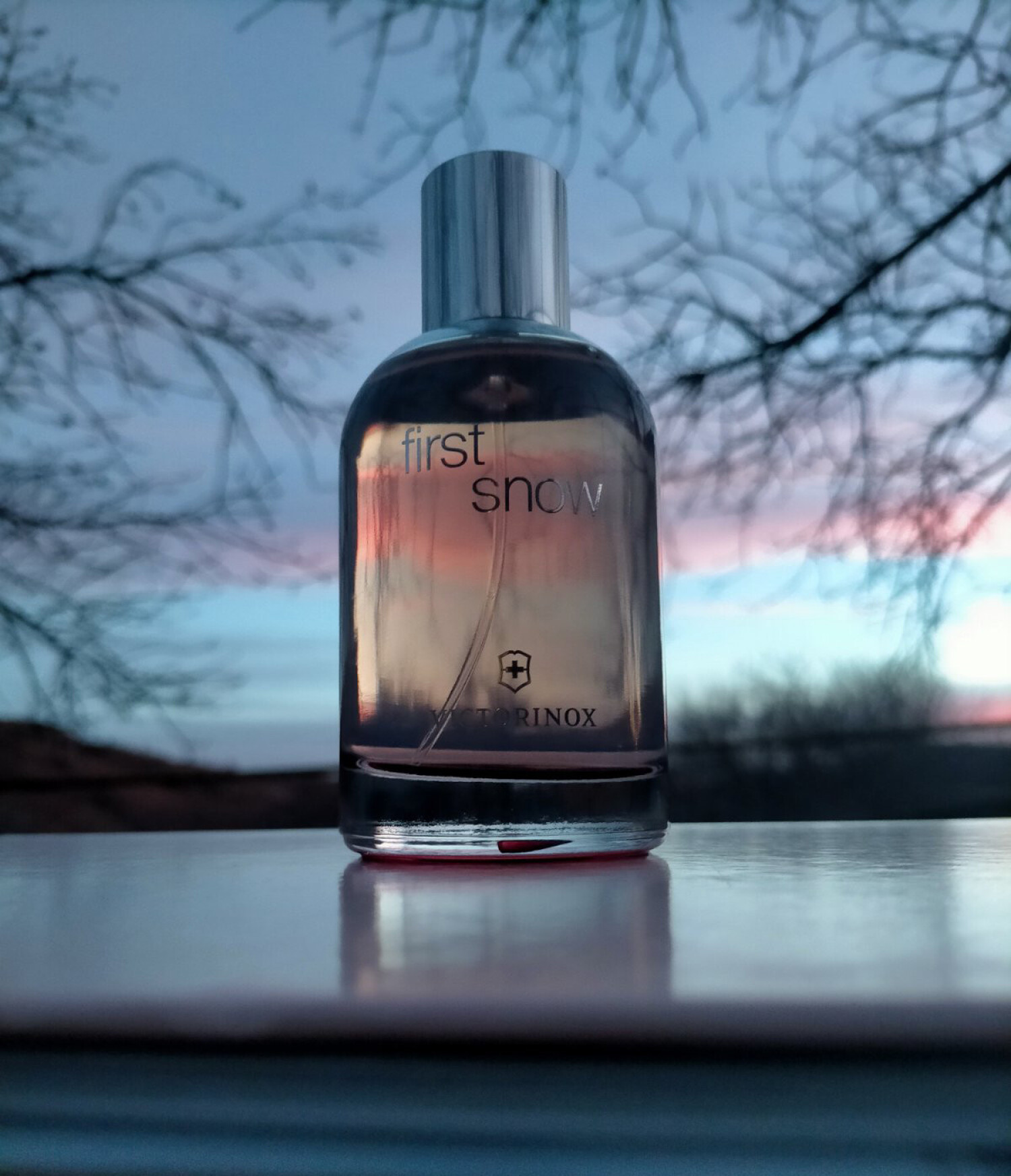 First Snow Victorinox Swiss Army parfum - un parfum pour femme 2021