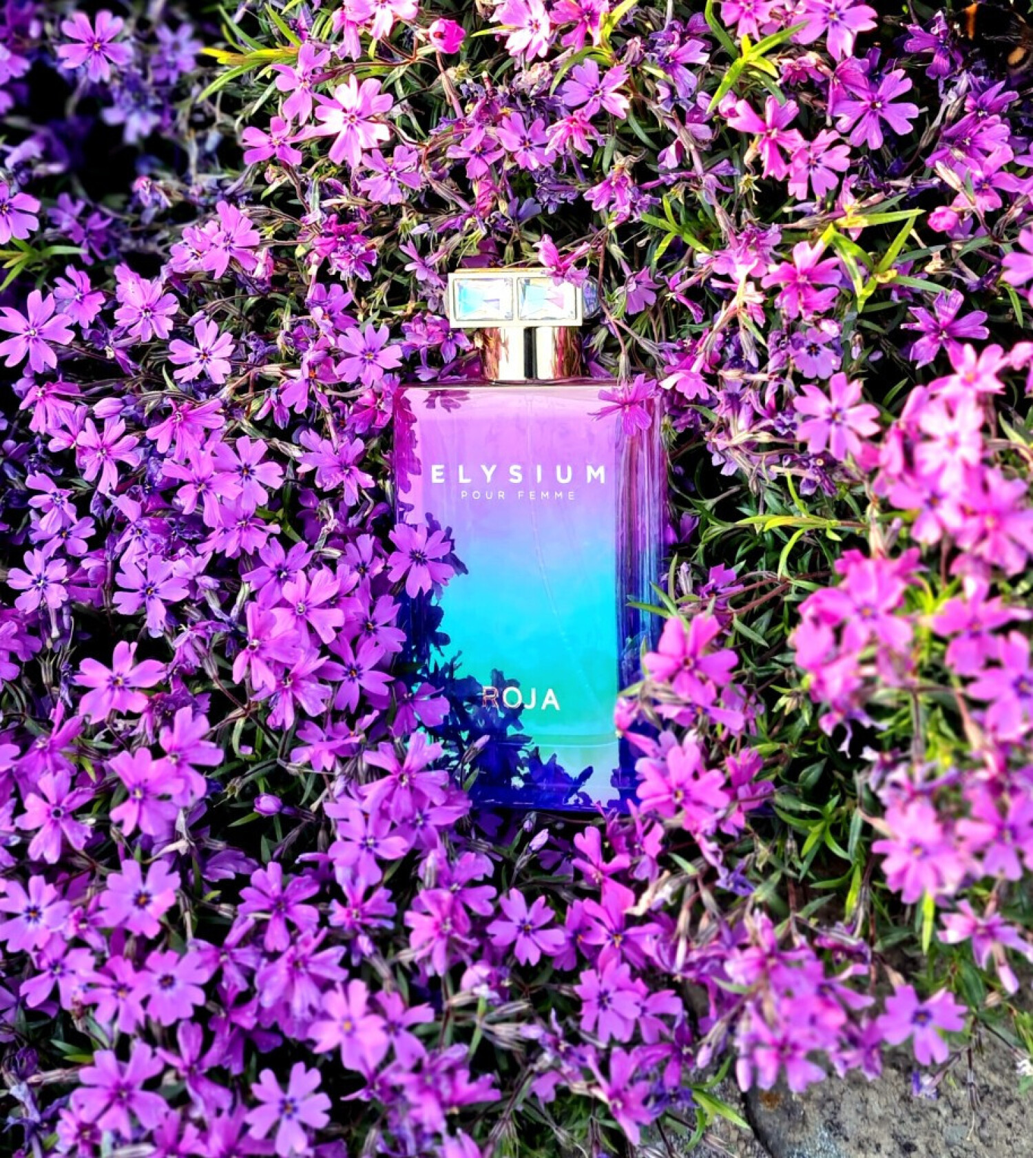 Elysium Pour Femme Roja Dove perfume - a novo fragrância Feminino 2024