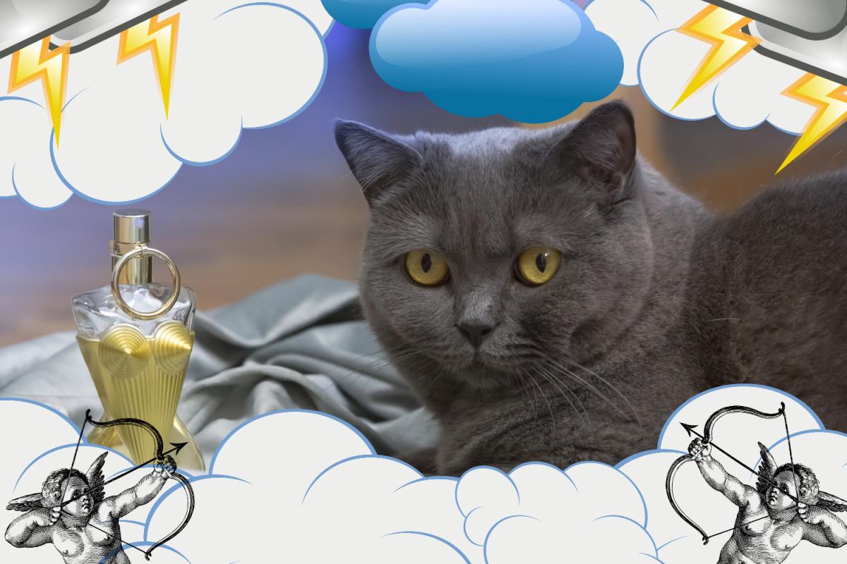 Gaultier Divine Jean Paul Gaultier parfum - un nou parfum de dama 2023