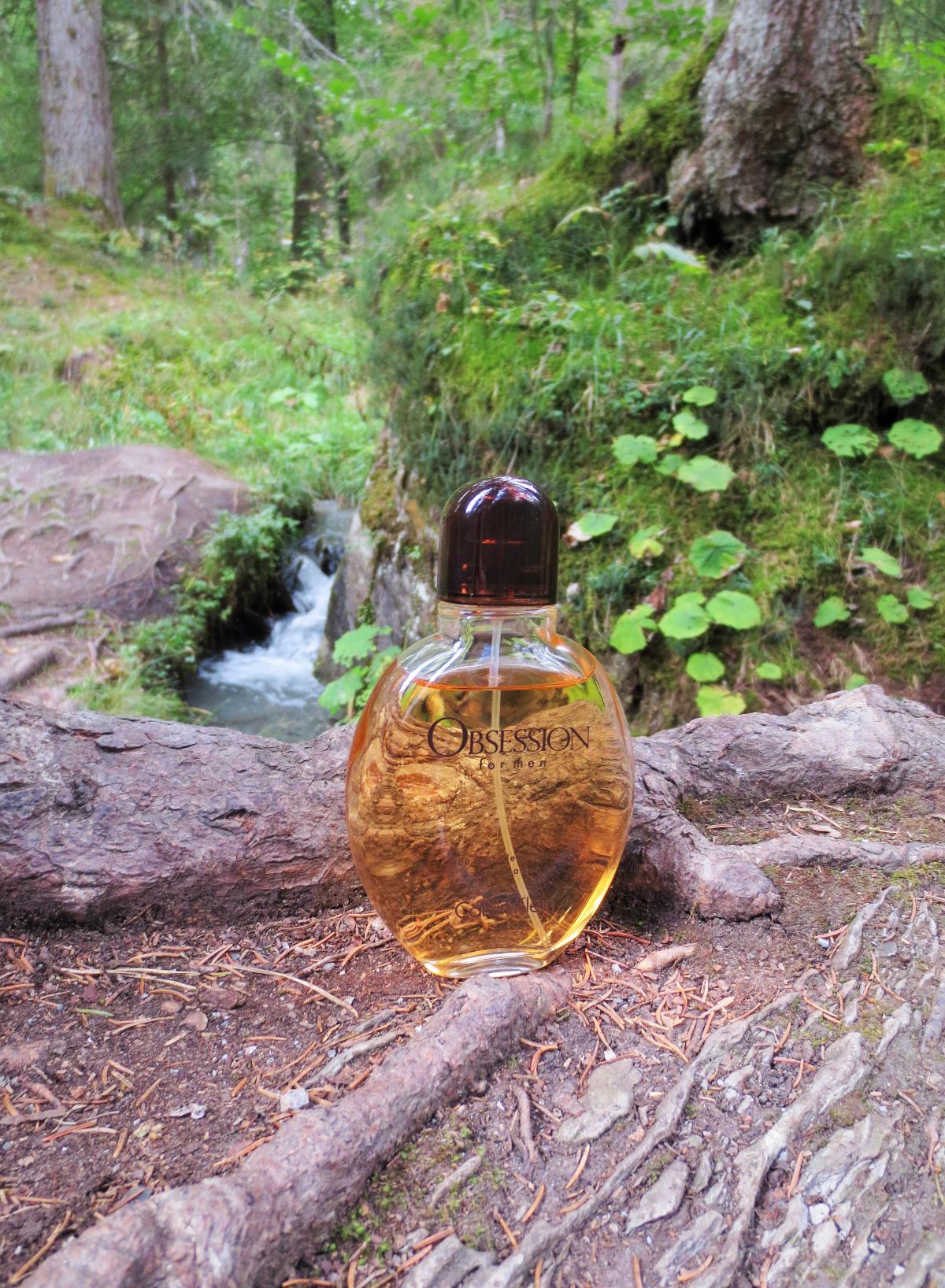 Obsession for Men Calvin Klein Cologne - un parfum pour homme 1986