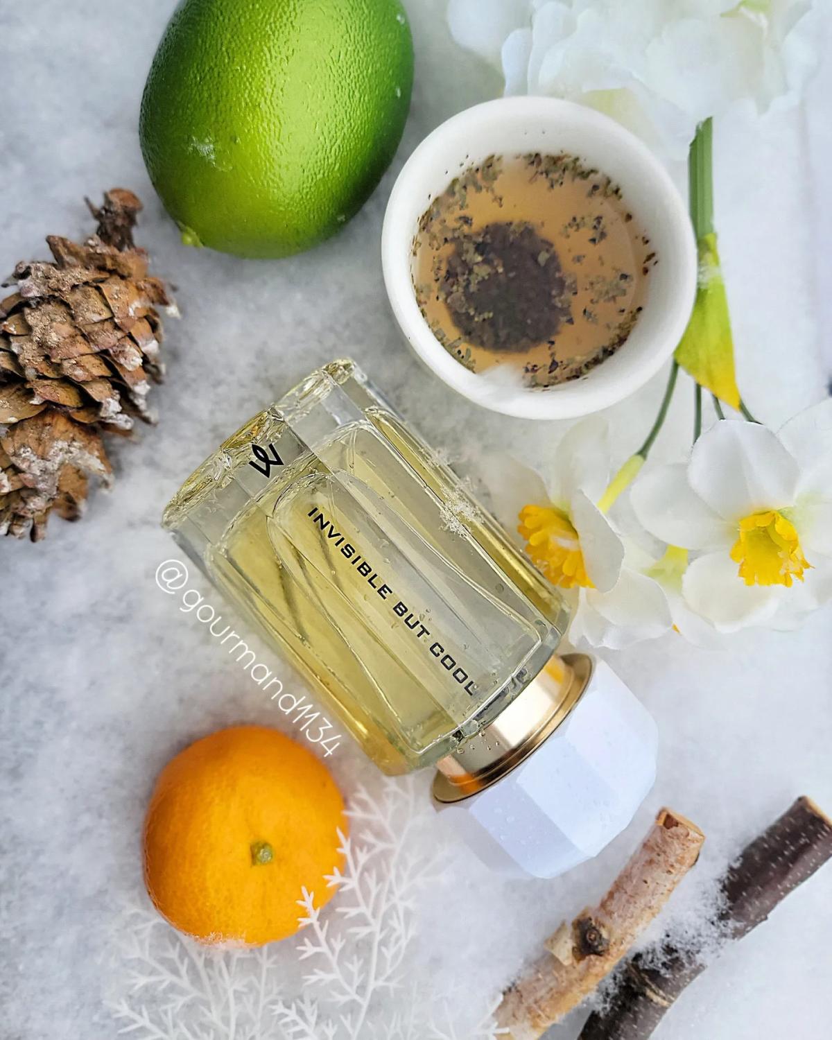 Invisible But Cool Ramon Monegal άρωμα - ένα νέο άρωμα για γυναίκες και ...