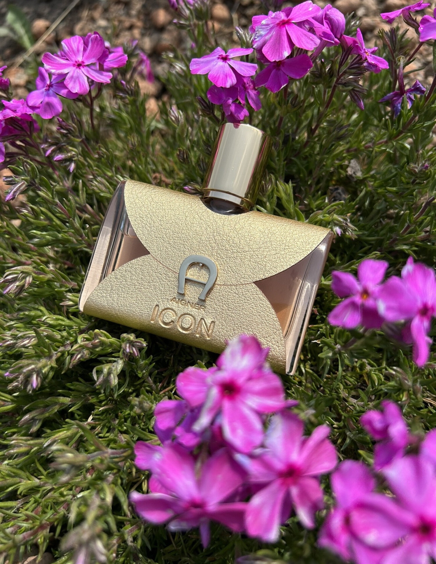 Icon Etienne Aigner perfume - a fragrância Feminino 2018