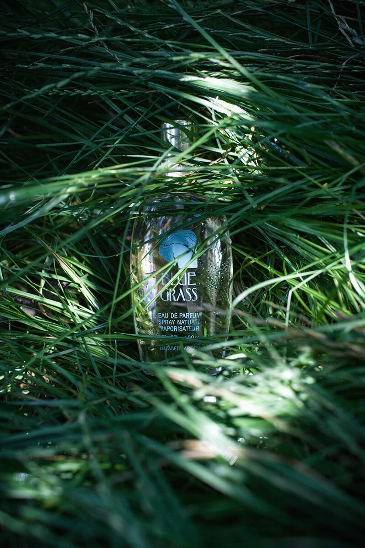 Blue Grass Elizabeth Arden parfem - parfem za žene 1936