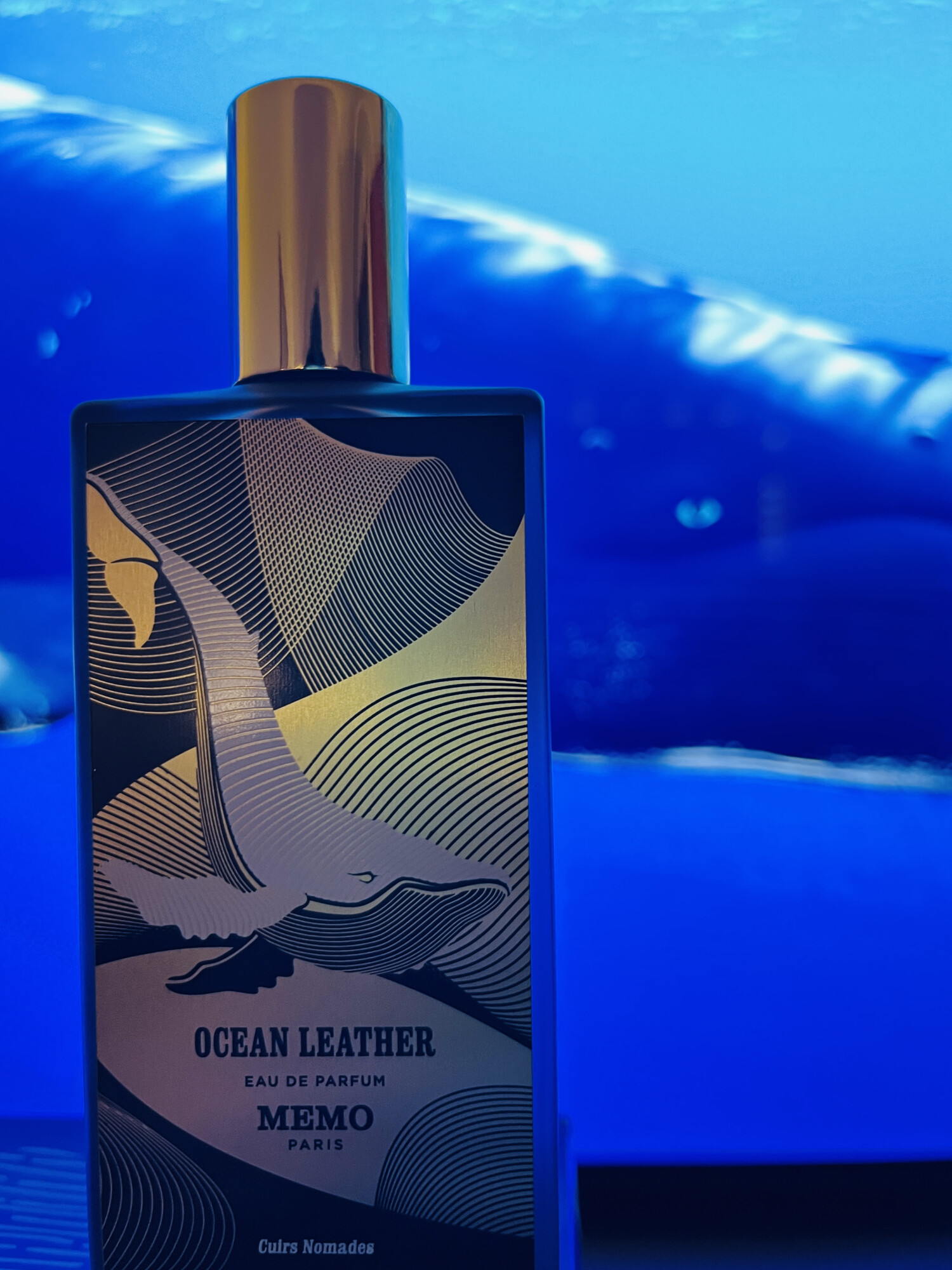 Ocean Leather Memo Paris άρωμα - ένα άρωμα για γυναίκες και άνδρες 2020