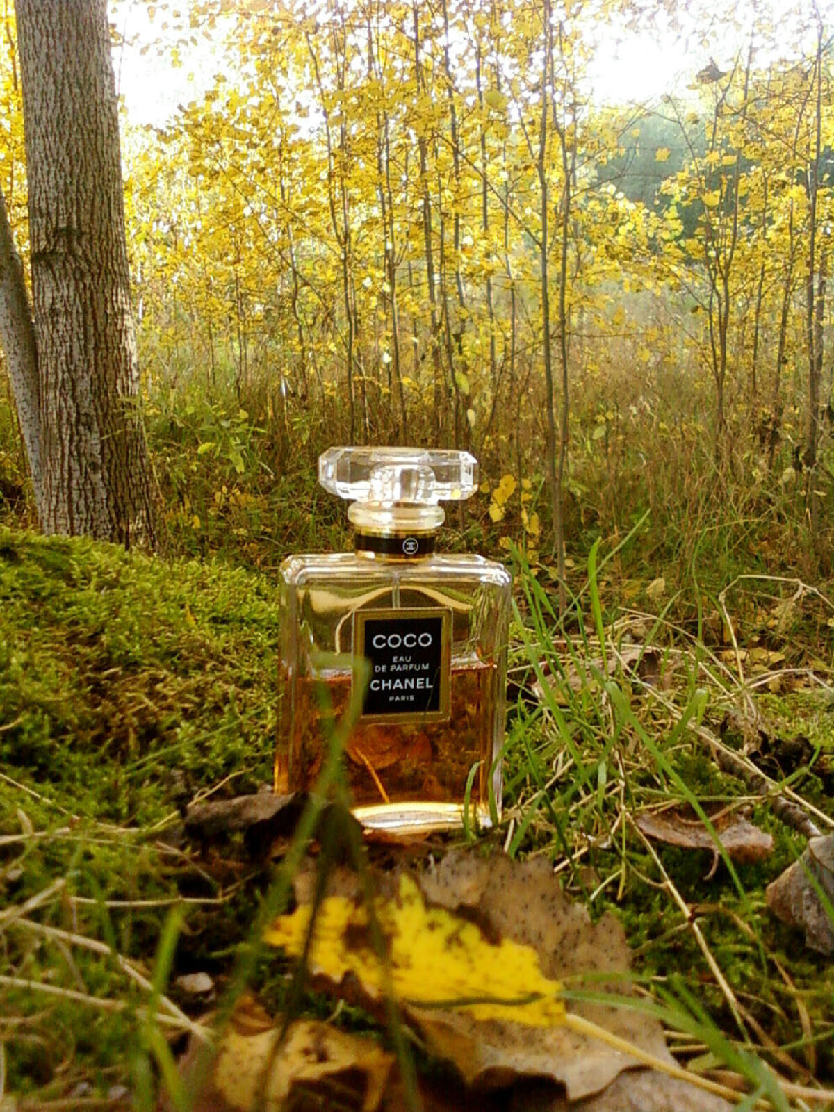 Coco Eau de Parfum Chanel fragancia - una fragancia para Mujeres 1984