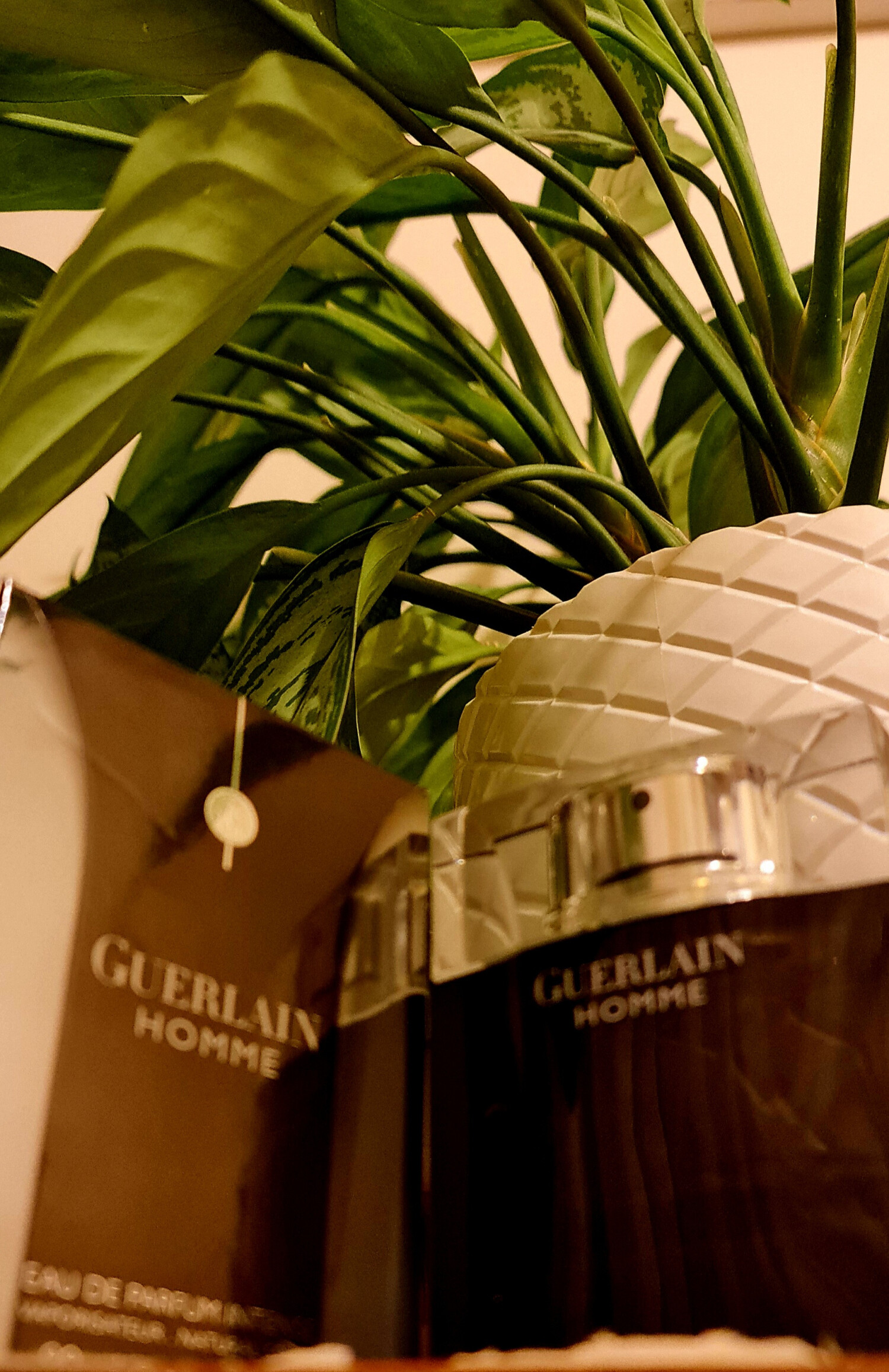 Guerlain Homme Intense Guerlain Colonia - una fragancia para Hombres 2009