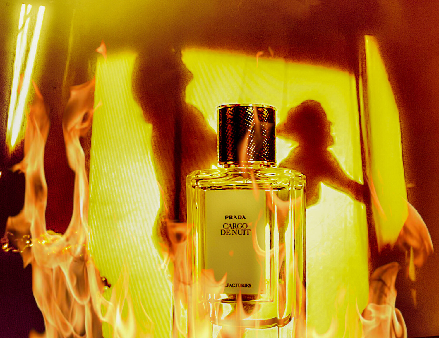 Cargo de Nuit Prada Parfum - ein es Parfum für Frauen und Männer 2015