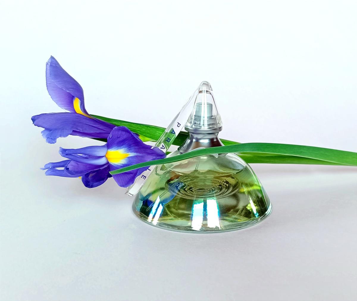 Parabole Succes de Paris Parfum - ein es Parfum für Frauen 2003