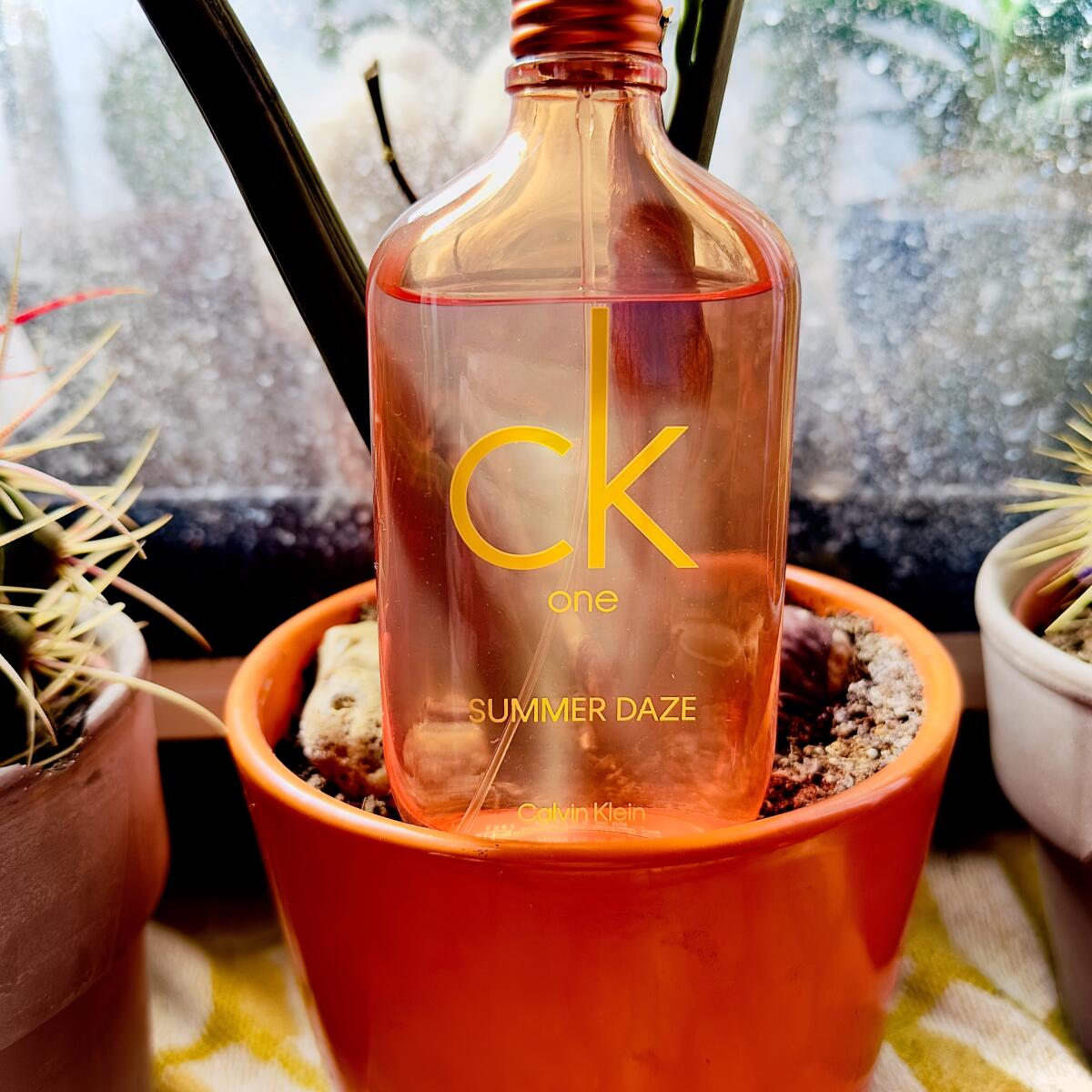 Ck One Summer Daze Calvin Klein Parfum - ein neues Parfum für Frauen ...