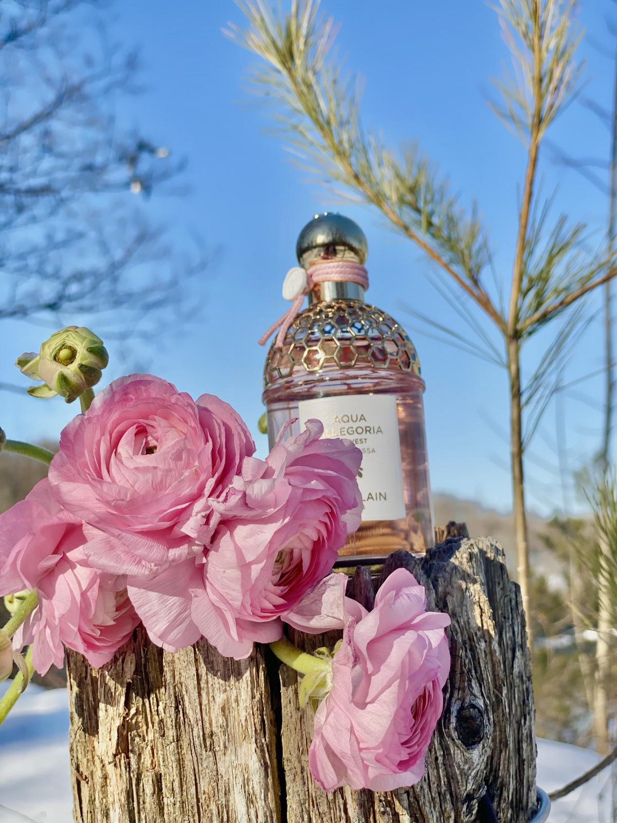 Rosa Rossa Harvest Guerlain parfum - un nouveau parfum pour homme et ...