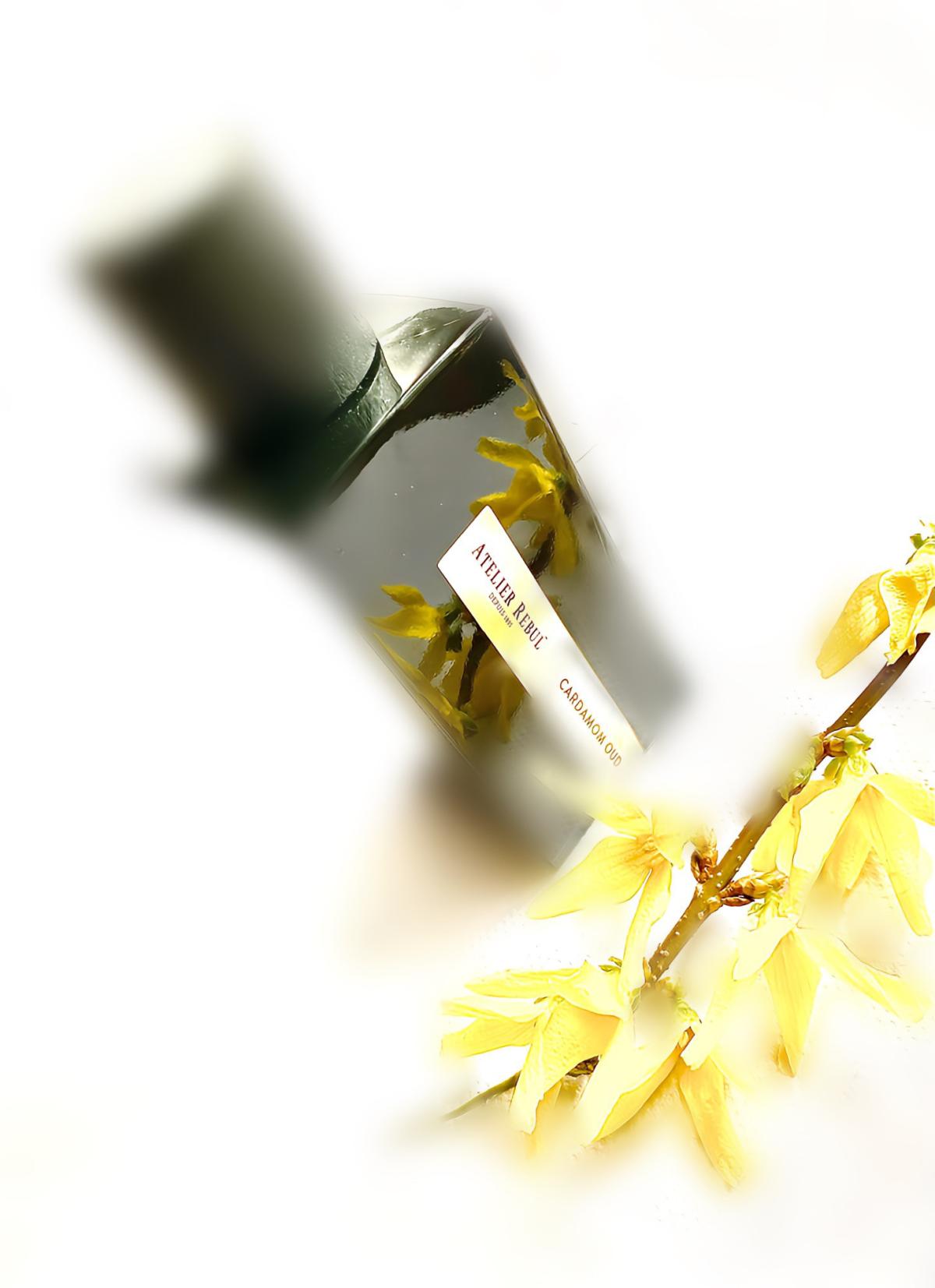 Cardamom Oud Atelier Rebul сүрчиг - a шинэ сүрчиг эрэгтэй эмэгтэй