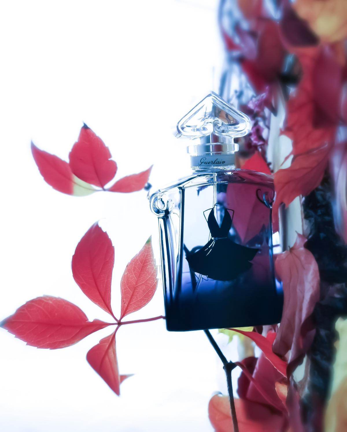 La Petite Robe Noire Intense Guerlain аромат — аромат для женщин 2016