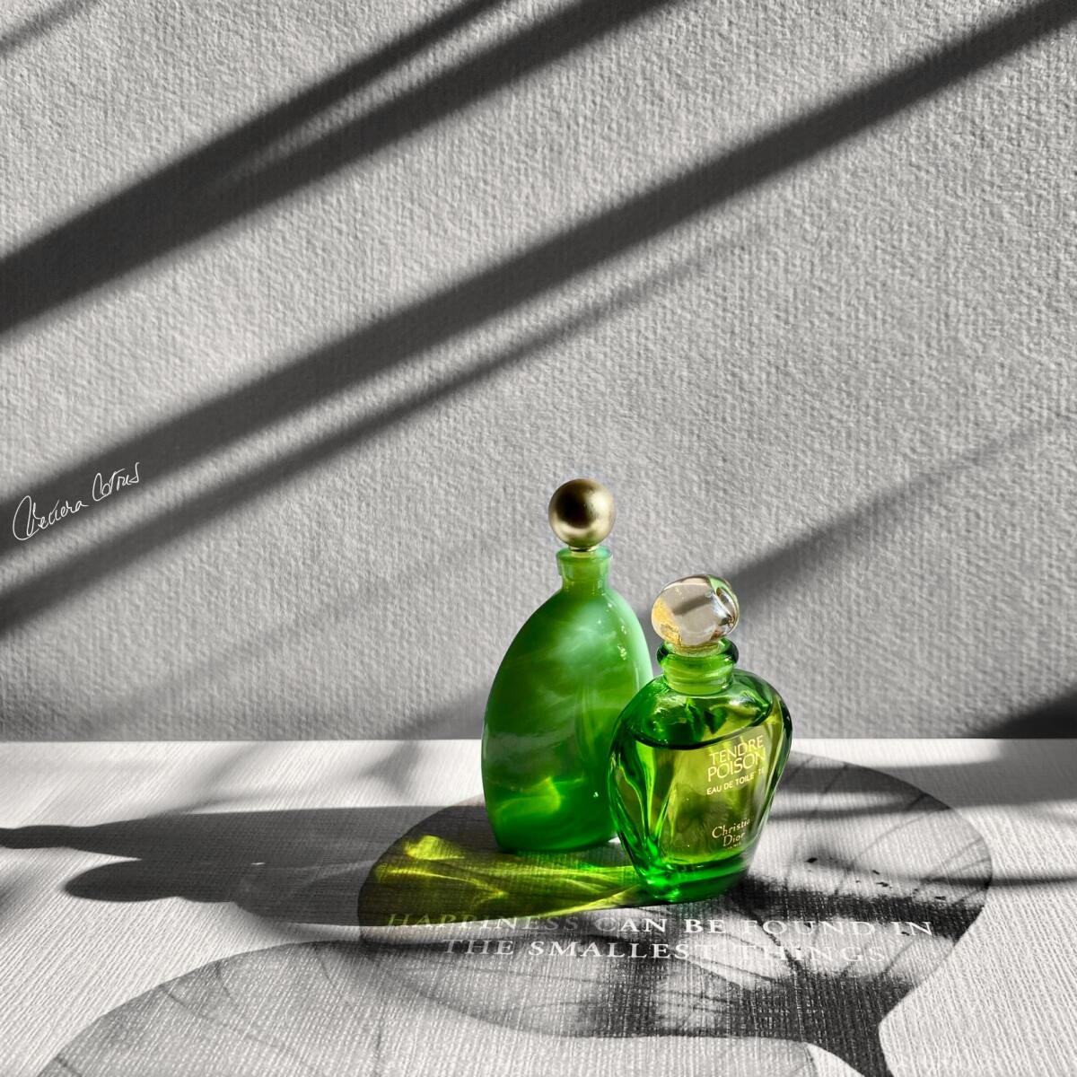 Eden Cacharel perfume - a fragrância Feminino 1994