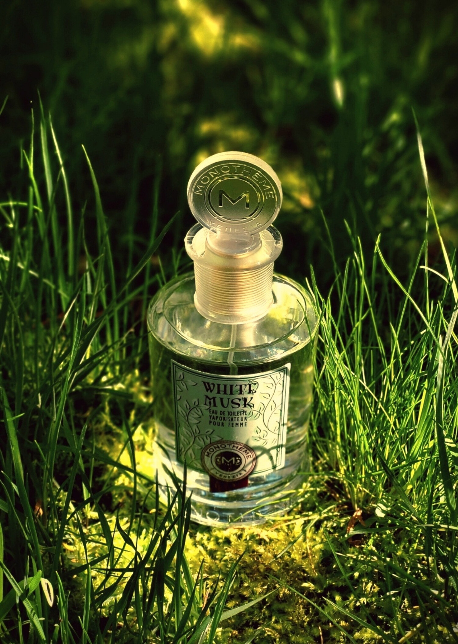White Musk Pour Femme Monotheme Venezia parfum - un parfum pour femme