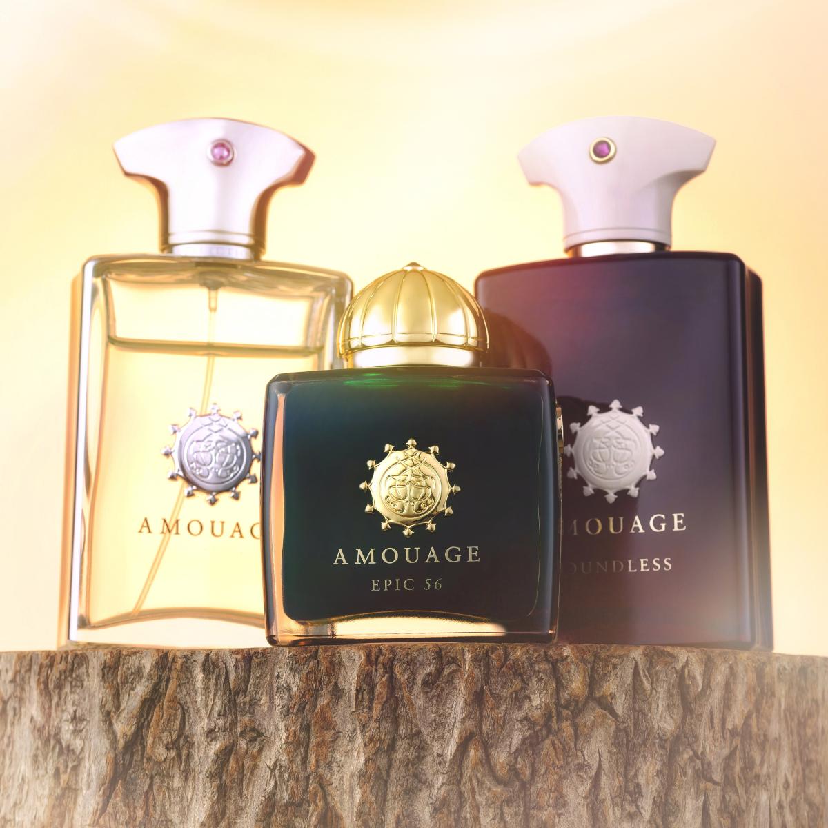 Reflection Man Amouage Colônia - a fragrância Masculino 2006