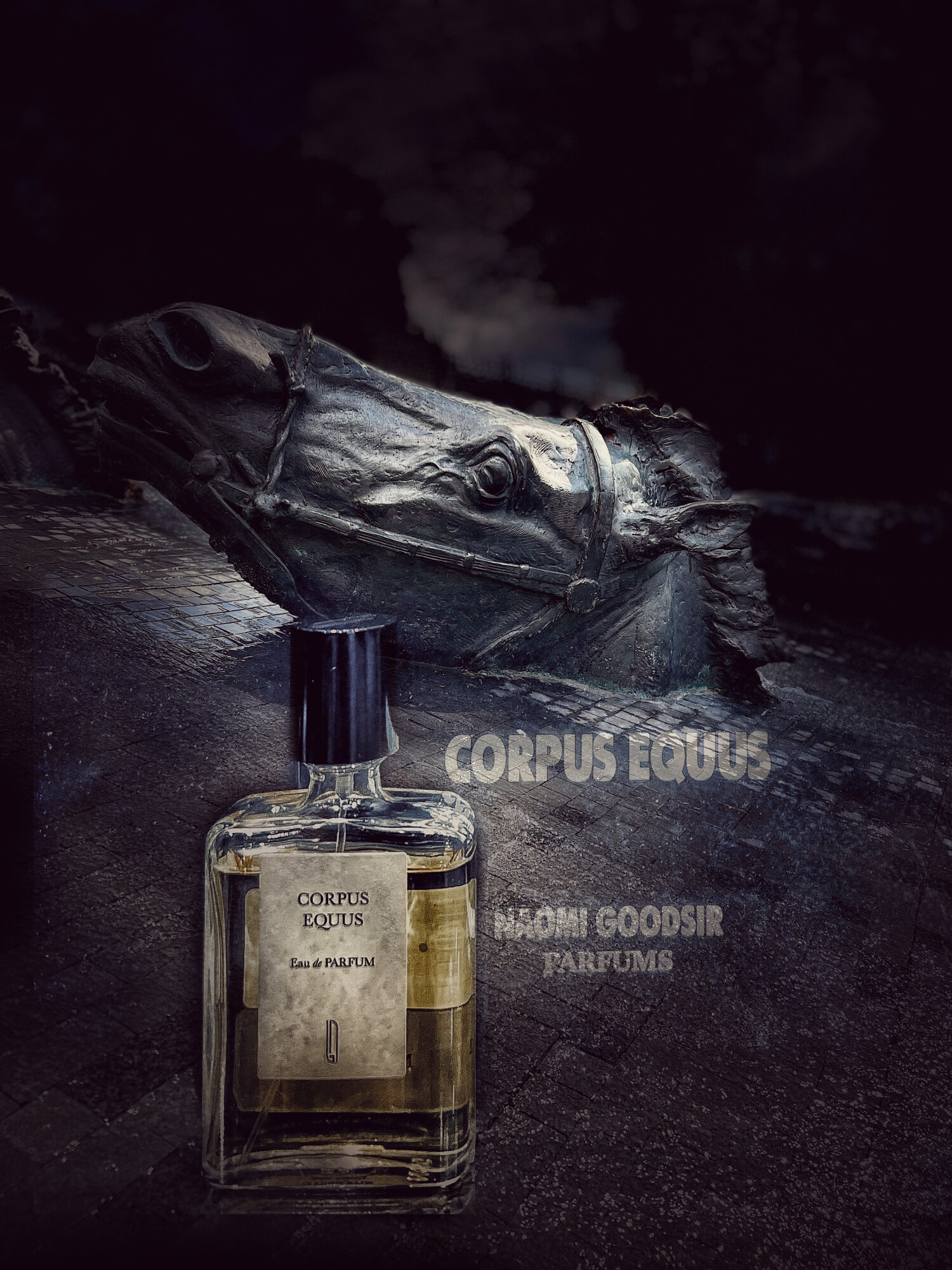 Corpus Equus Naomi Goodsir сүрчиг - a сүрчиг эрэгтэй эмэгтэй 2021