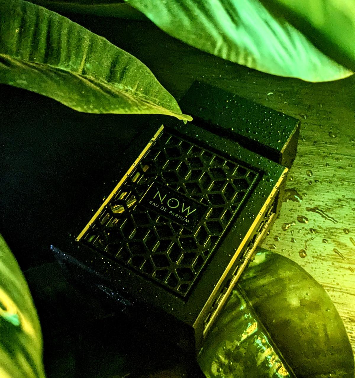 Now RAVE - una novità fragranza da uomo 2022