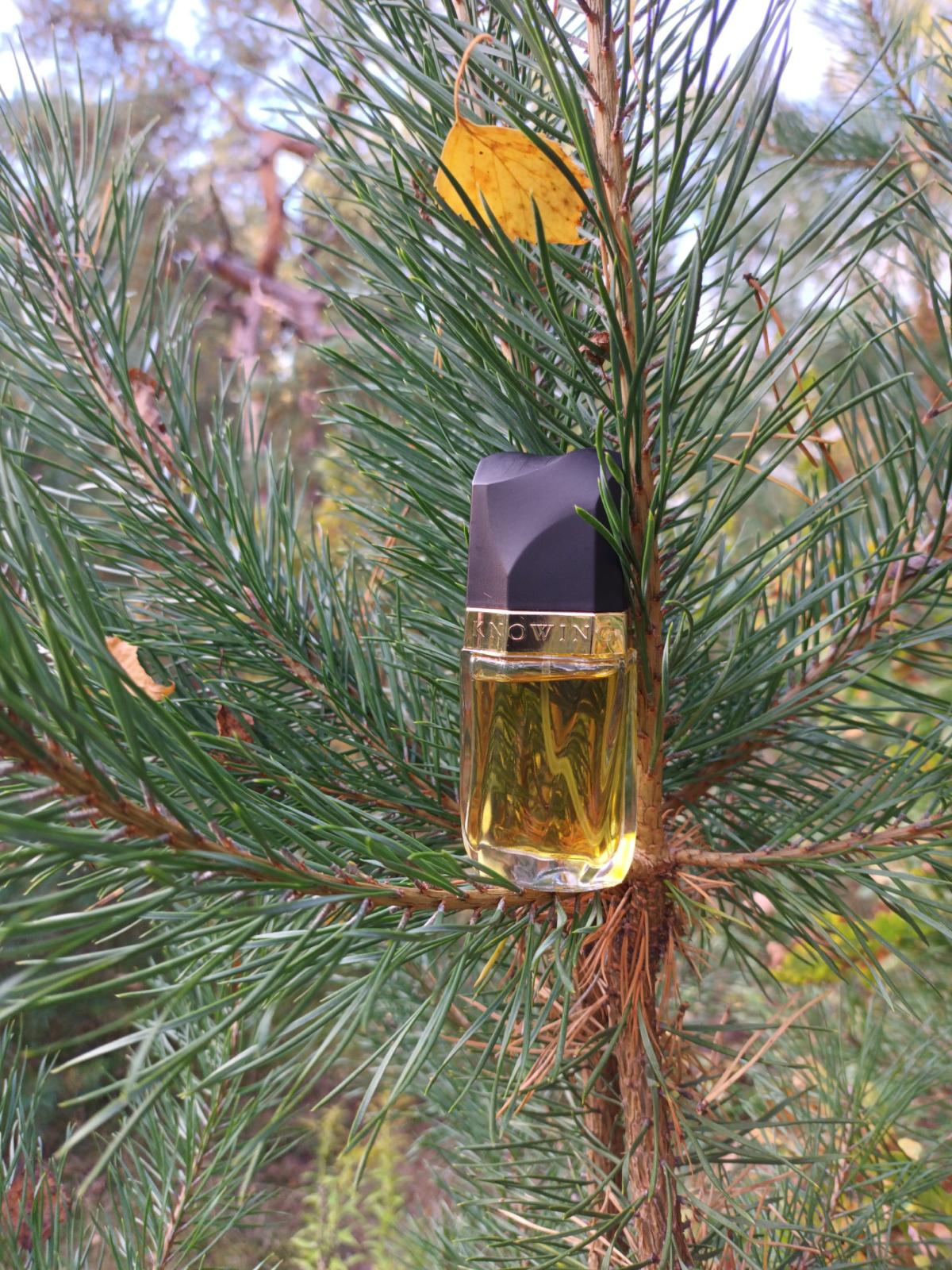 Knowing Estée Lauder perfume - a fragrância Feminino 1988