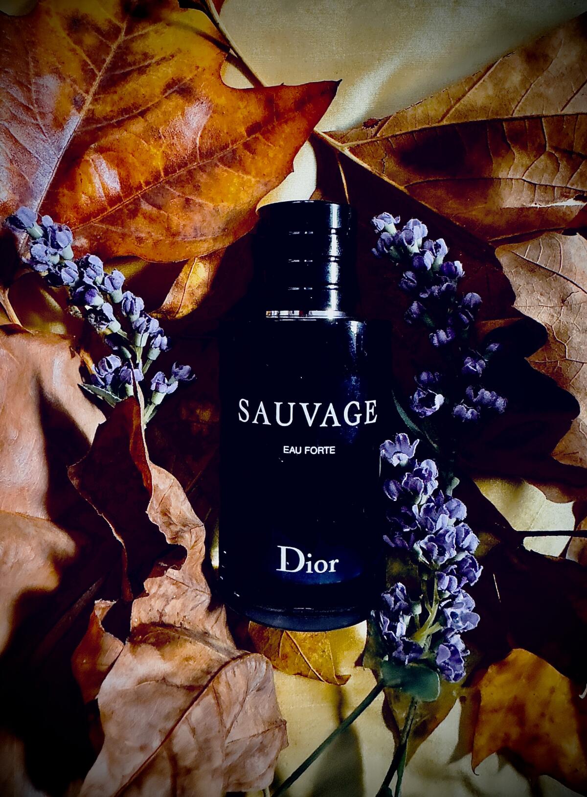 Sauvage Eau Forte Dior Colonia - una nuevo fragancia para Hombres 2024