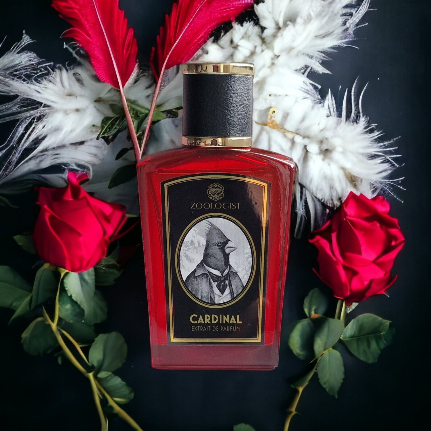 Northern Cardinal Zoologist Perfumes parfum - un nouveau parfum pour ...