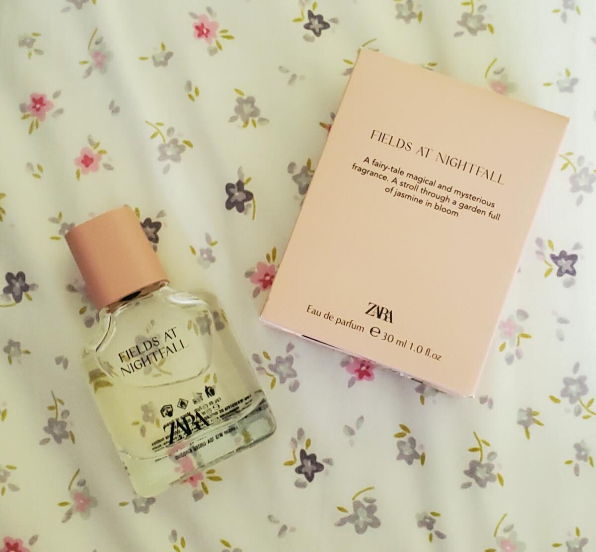 Fields at Nightfall Zara сүрчиг - a сүрчиг эмэгтэй 2020