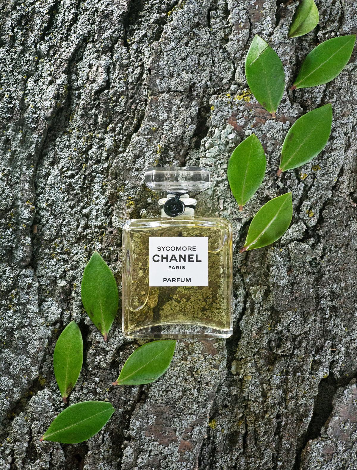 Sycomore Parfum Chanel fragancia - una nuevo fragancia para Hombres y ...