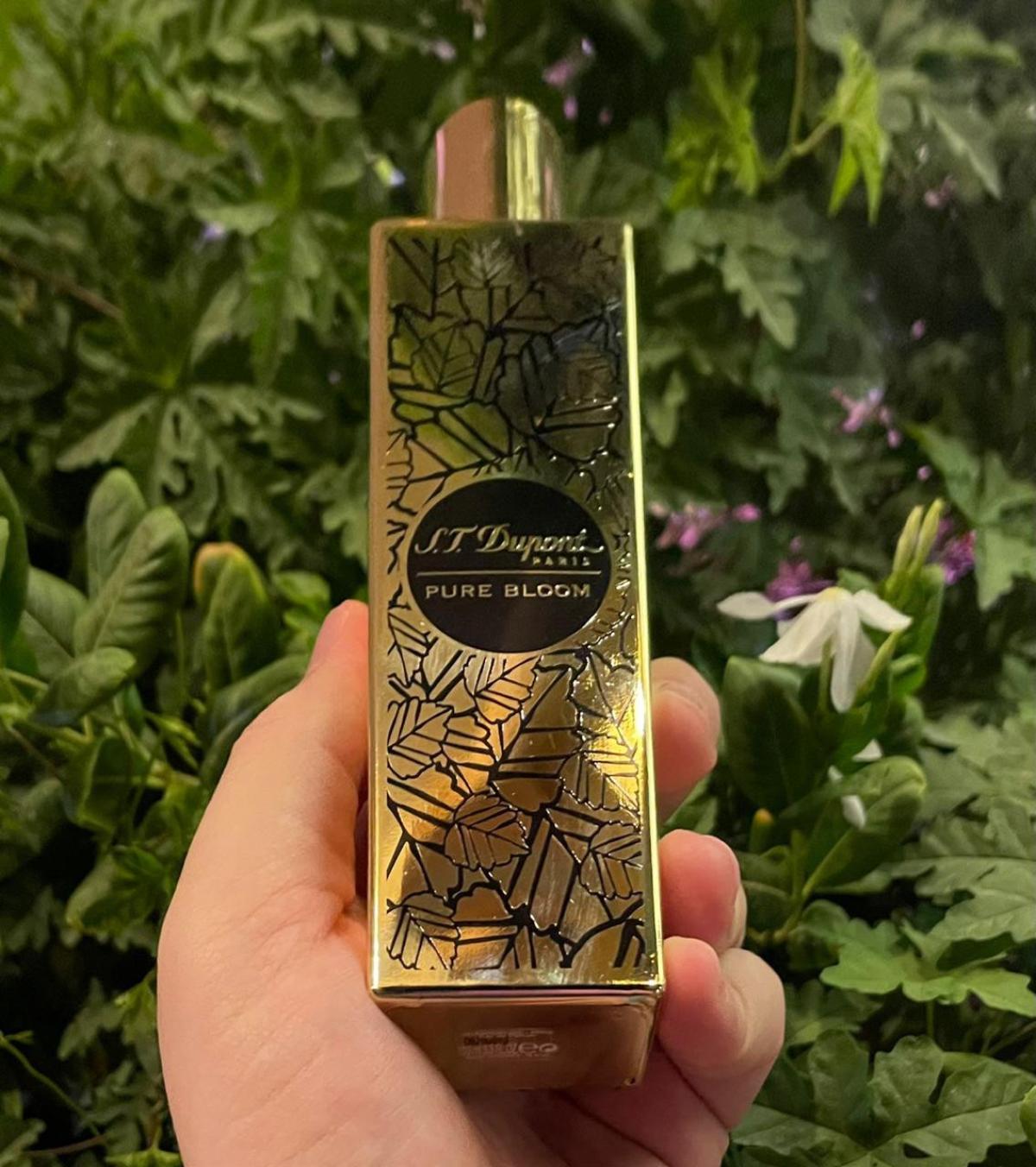 Pure Bloom S.T. Dupont fragancia - una fragancia para Mujeres 2019