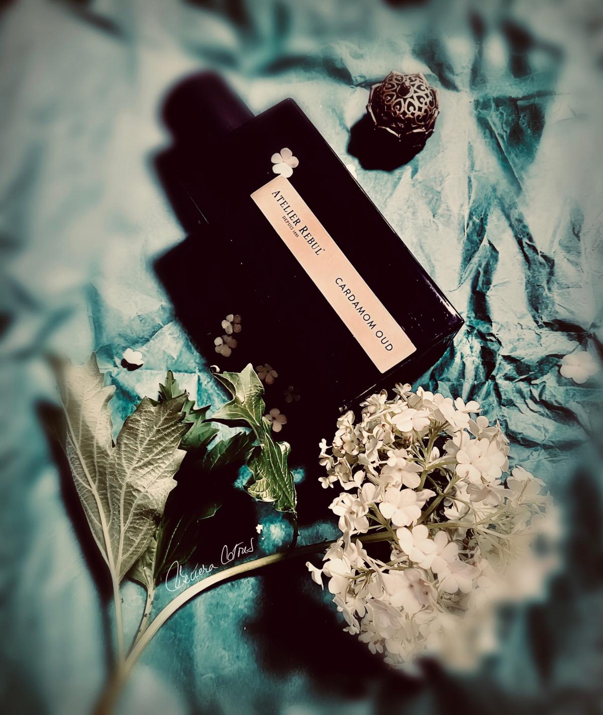 Cardamom Oud Atelier Rebul сүрчиг - a шинэ сүрчиг эрэгтэй эмэгтэй