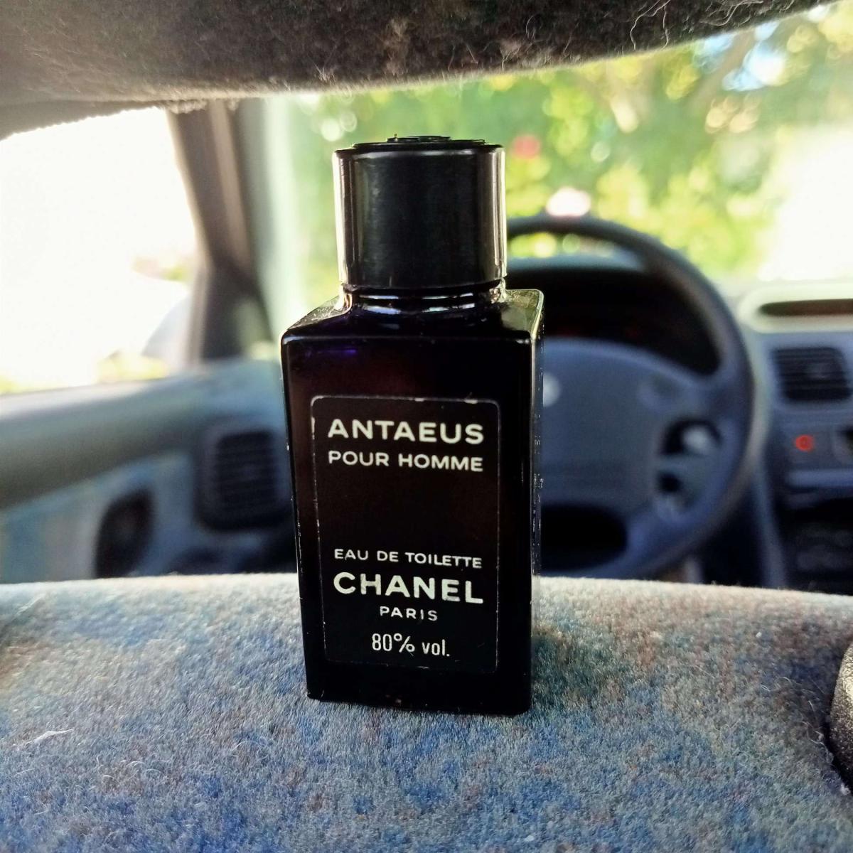 Antaeus Chanel Colônia - a fragrância Masculino 1981