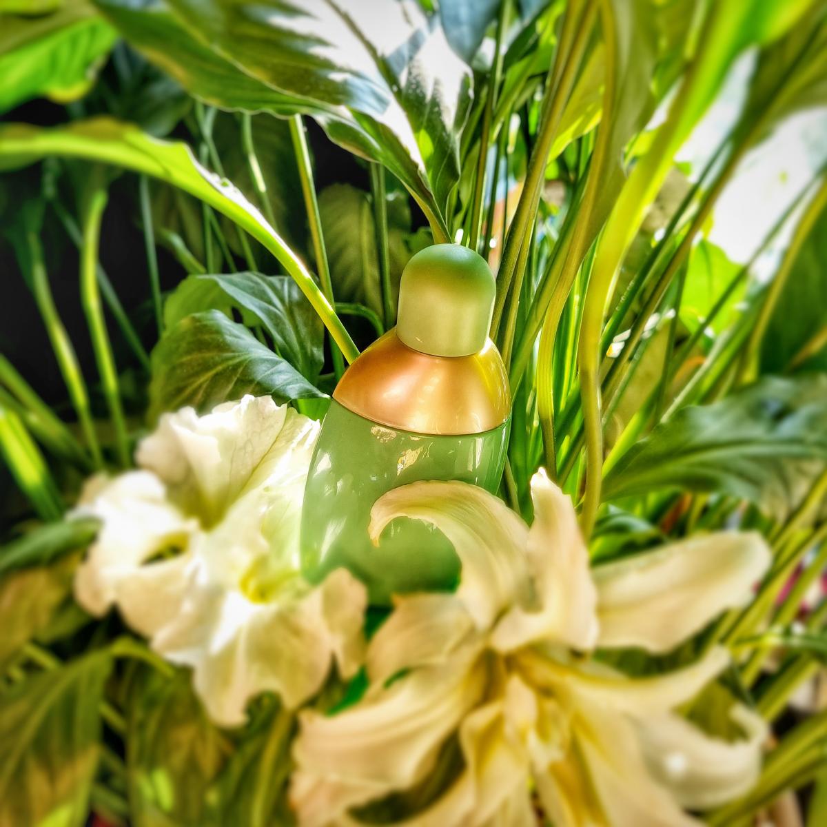 Eden Cacharel perfume - a fragrância Feminino 1994