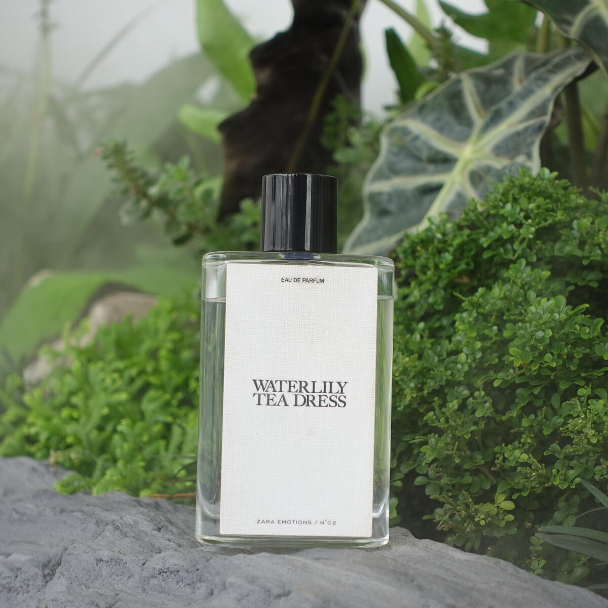 Waterlily Tea Dress Zara аромат — аромат для мужчин и женщин 2019
