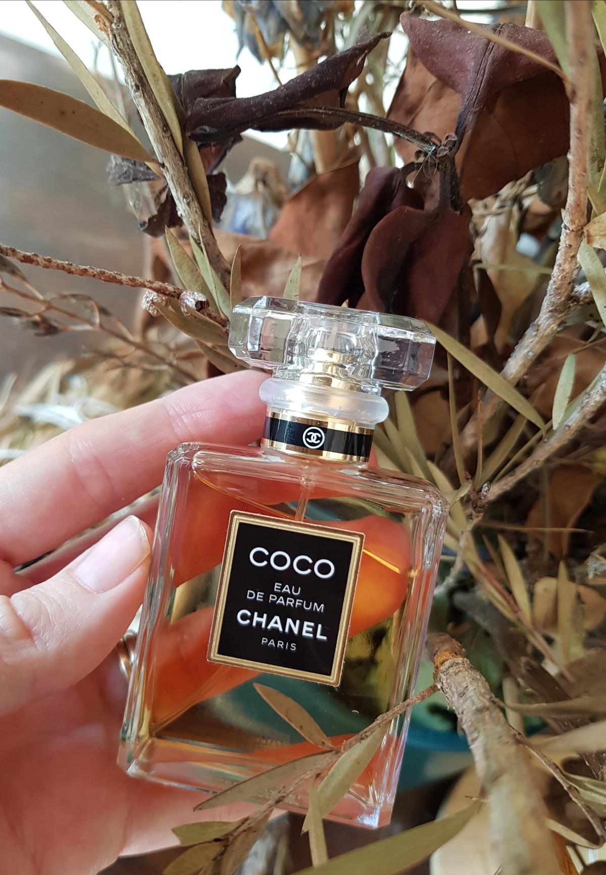 Coco Eau de Parfum Chanel parfem - parfem za žene 1984