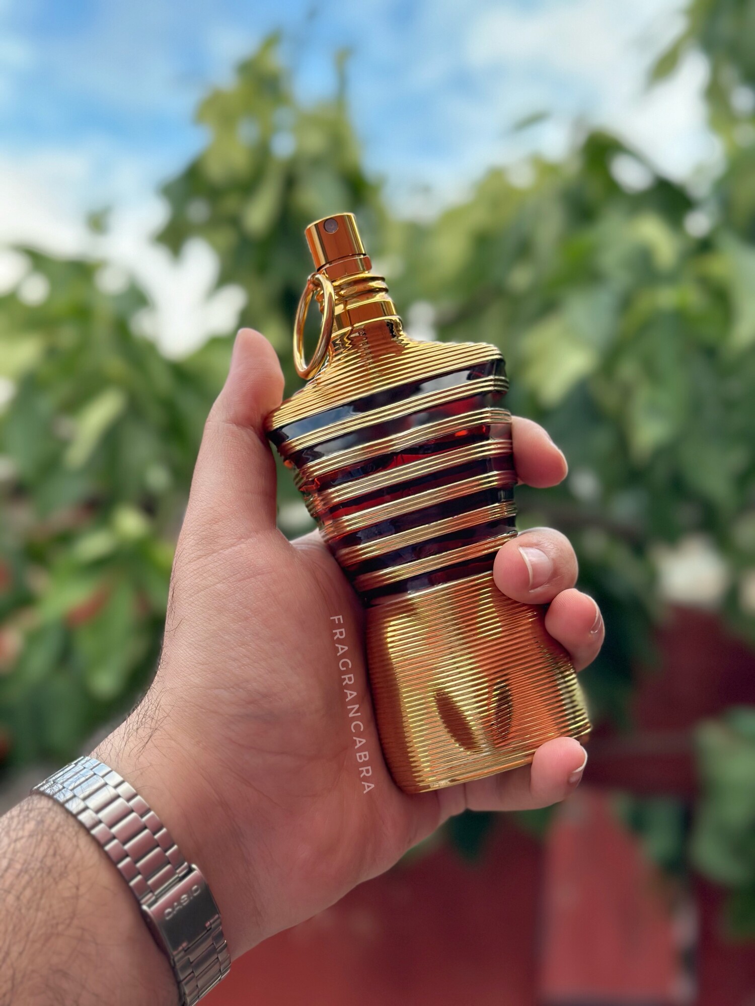 Le Male Elixir Jean Paul Gaultier Colonia - una nuevo fragancia para ...