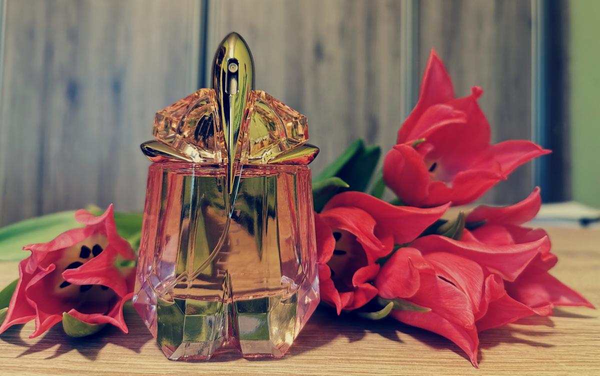 Alien Flora Futura Mugler Parfum - ein es Parfum für Frauen 2018