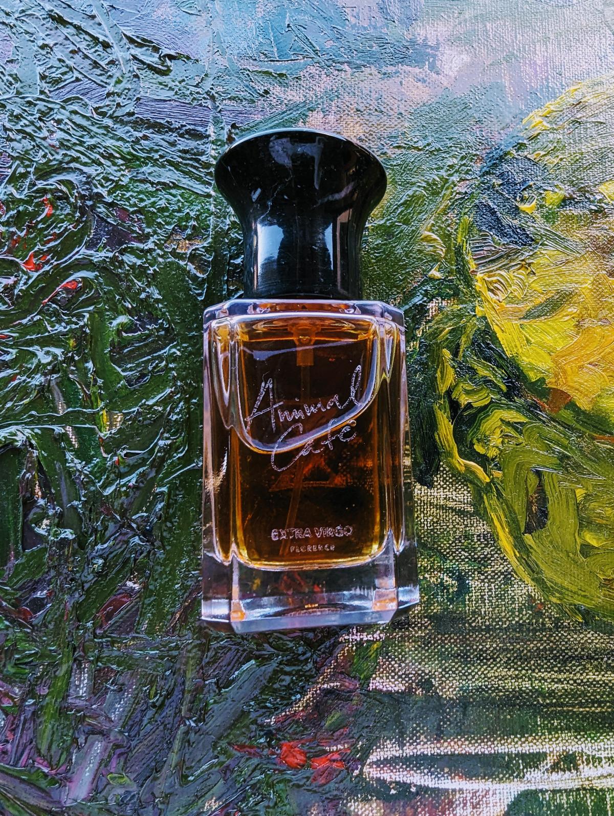 Animal Cafe Extra Virgo perfume - a novo fragrância Compartilhável 2022