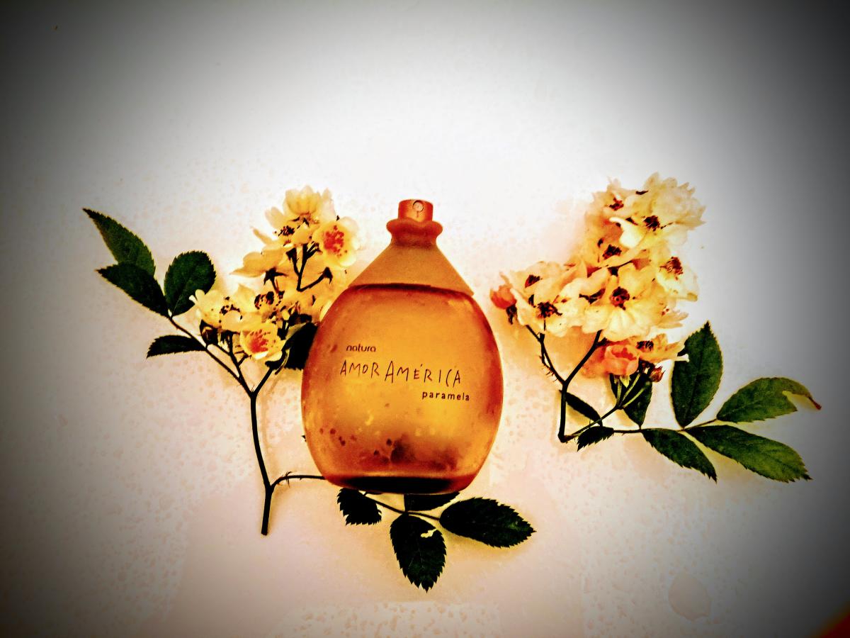 Amor América Paramela Natura parfém - a vůně pro ženy a muže 2008
