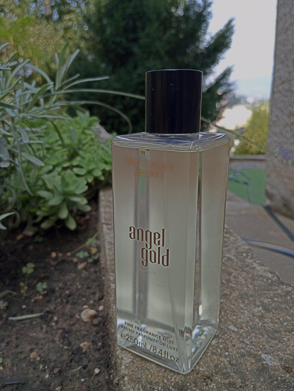 Angel Gold Victoria's Secret fragancia - una fragancia para Mujeres 2015