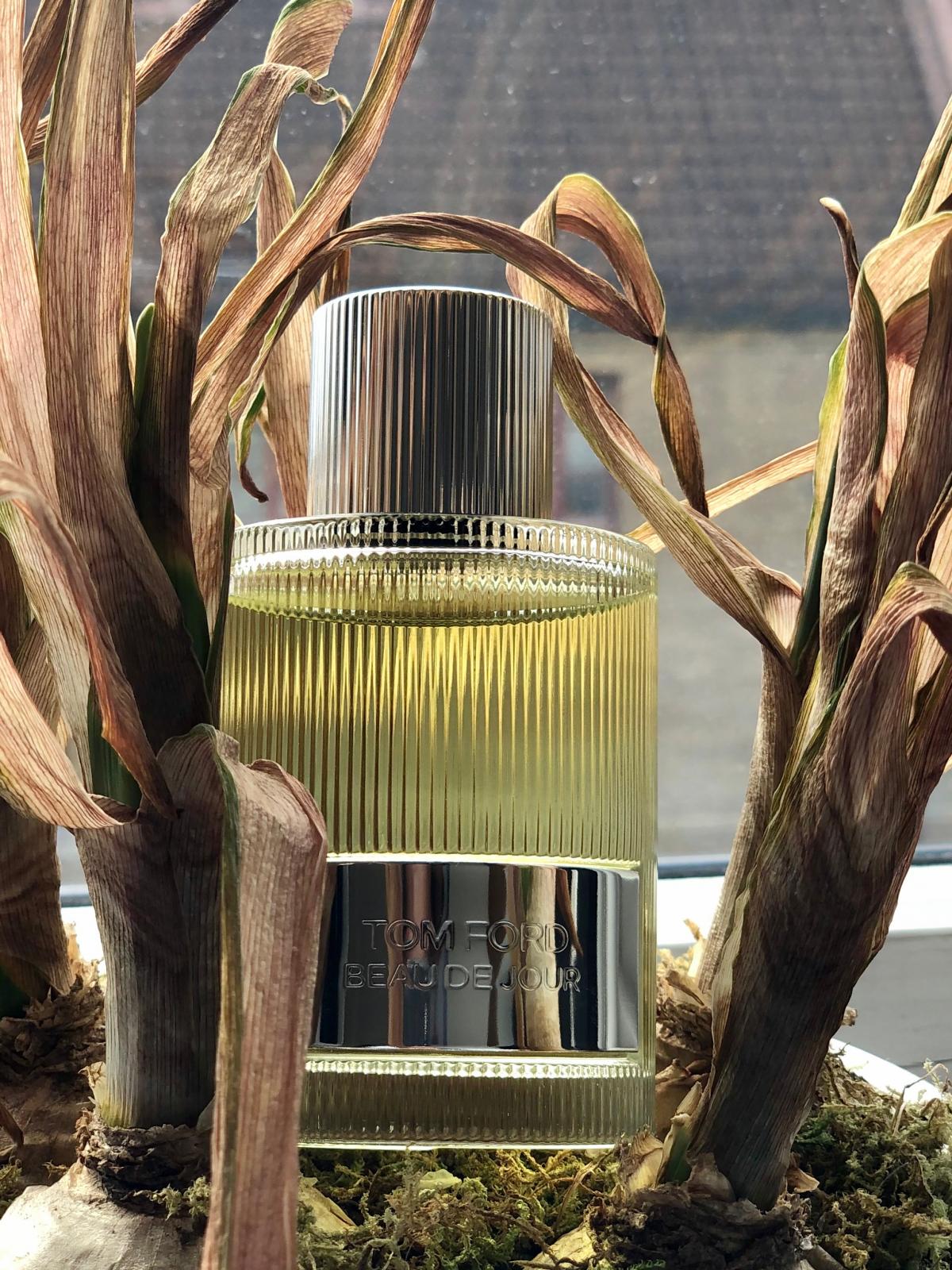 Beau De Jour Eau de Parfum Tom Ford Colônia - a fragrância Masculino 2020