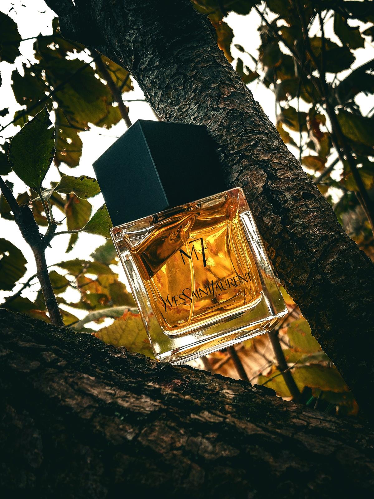 M7 Yves Saint Laurent Cologne - un parfum pour homme 2002