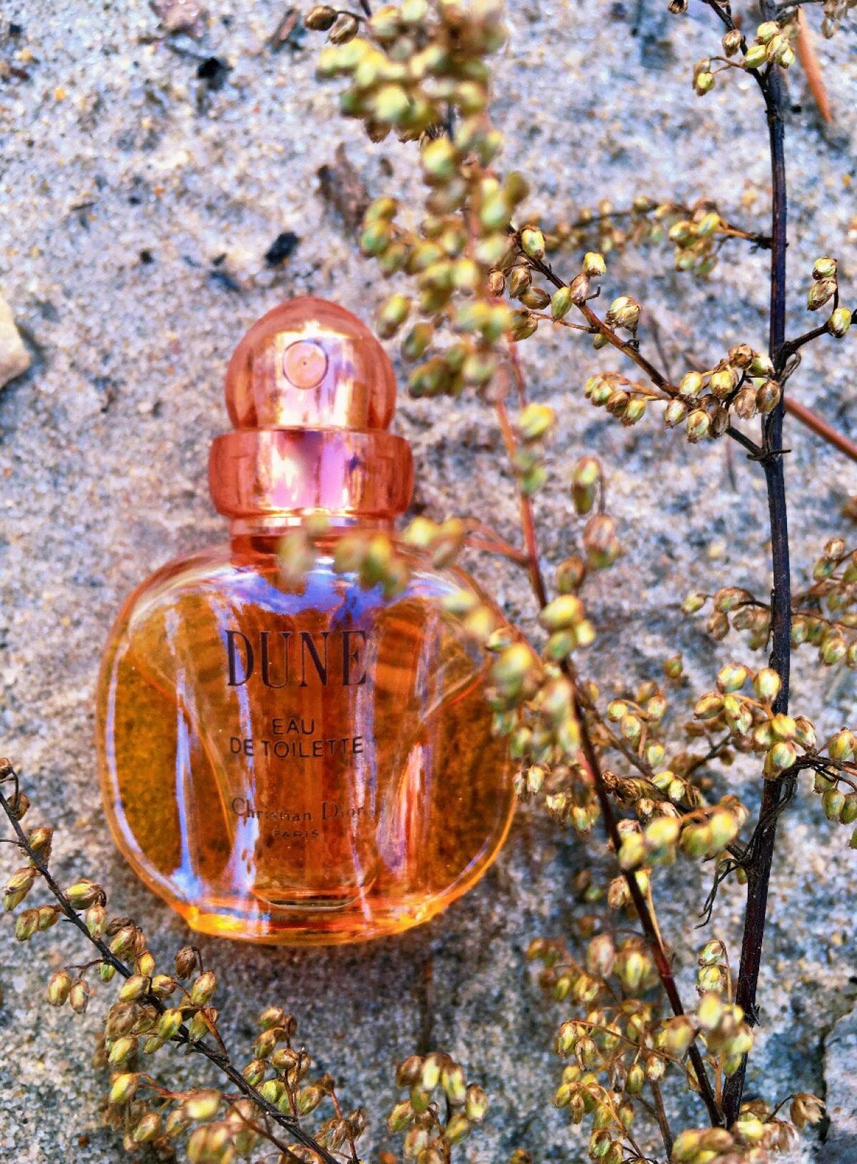 Dune Dior perfume - a fragrância Feminino 1991