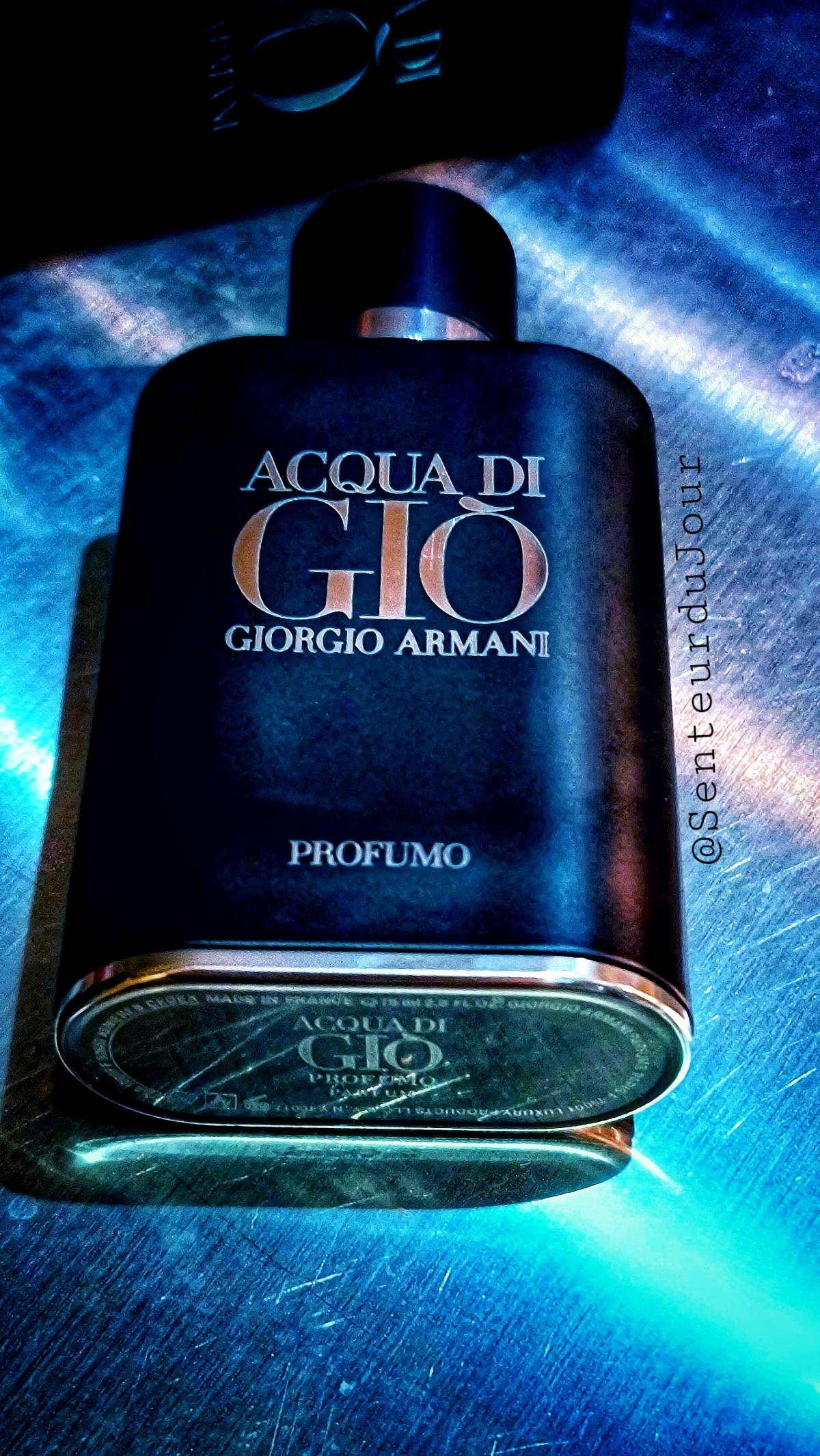 Acqua di Giò Profumo Giorgio Armani Kolonjska voda - parfem za muškarce ...