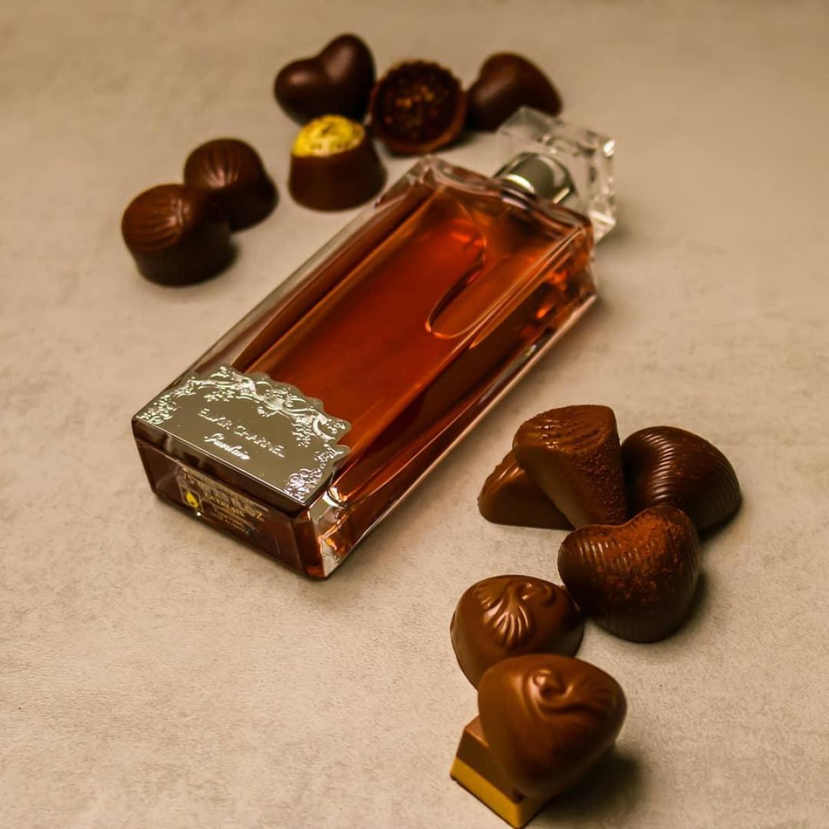 Elixir Charnel Gourmand Coquin Guerlain parfum - un parfum pour femme 2008