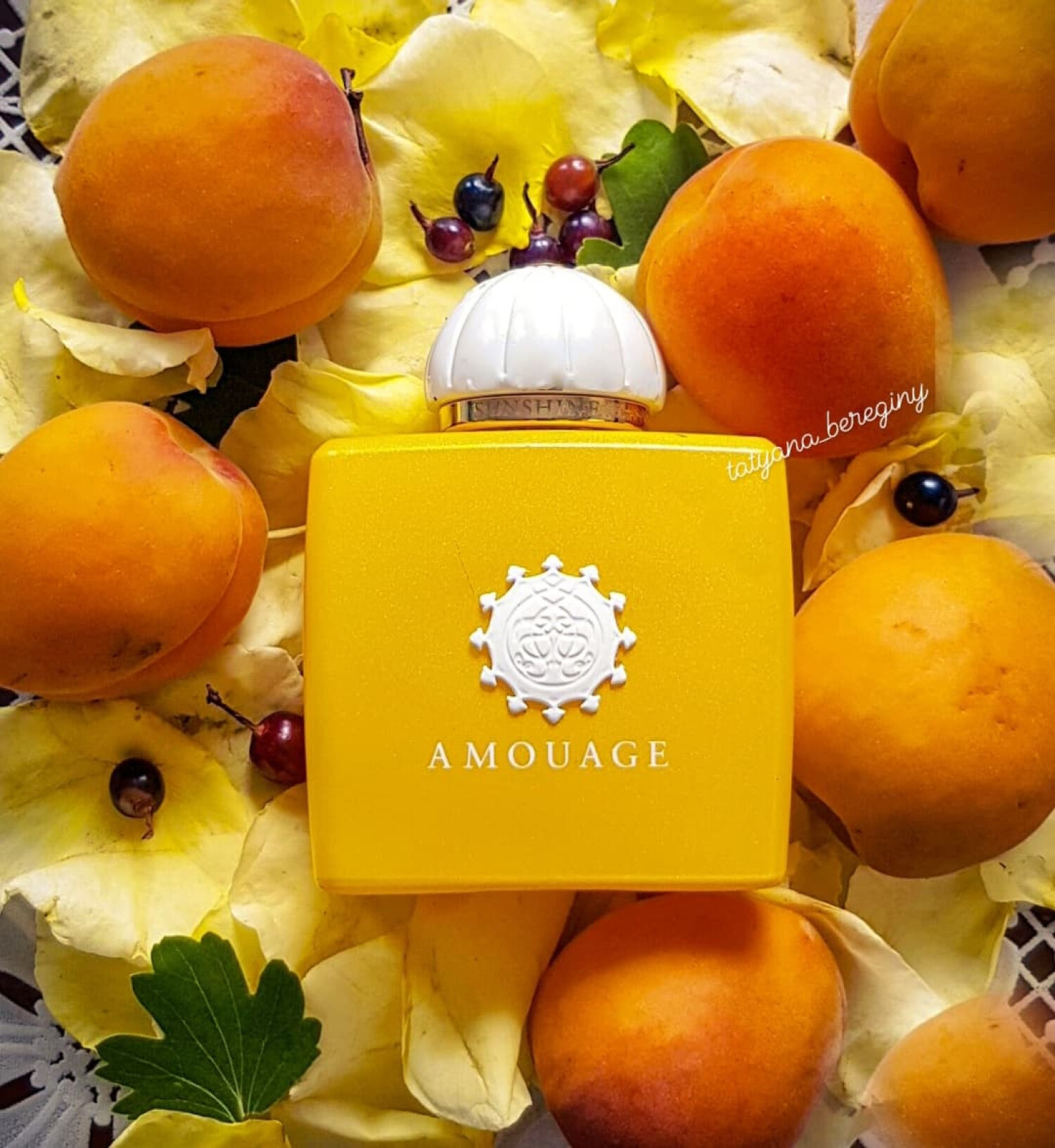 Sunshine Woman Amouage Parfum - ein es Parfum für Frauen 2014