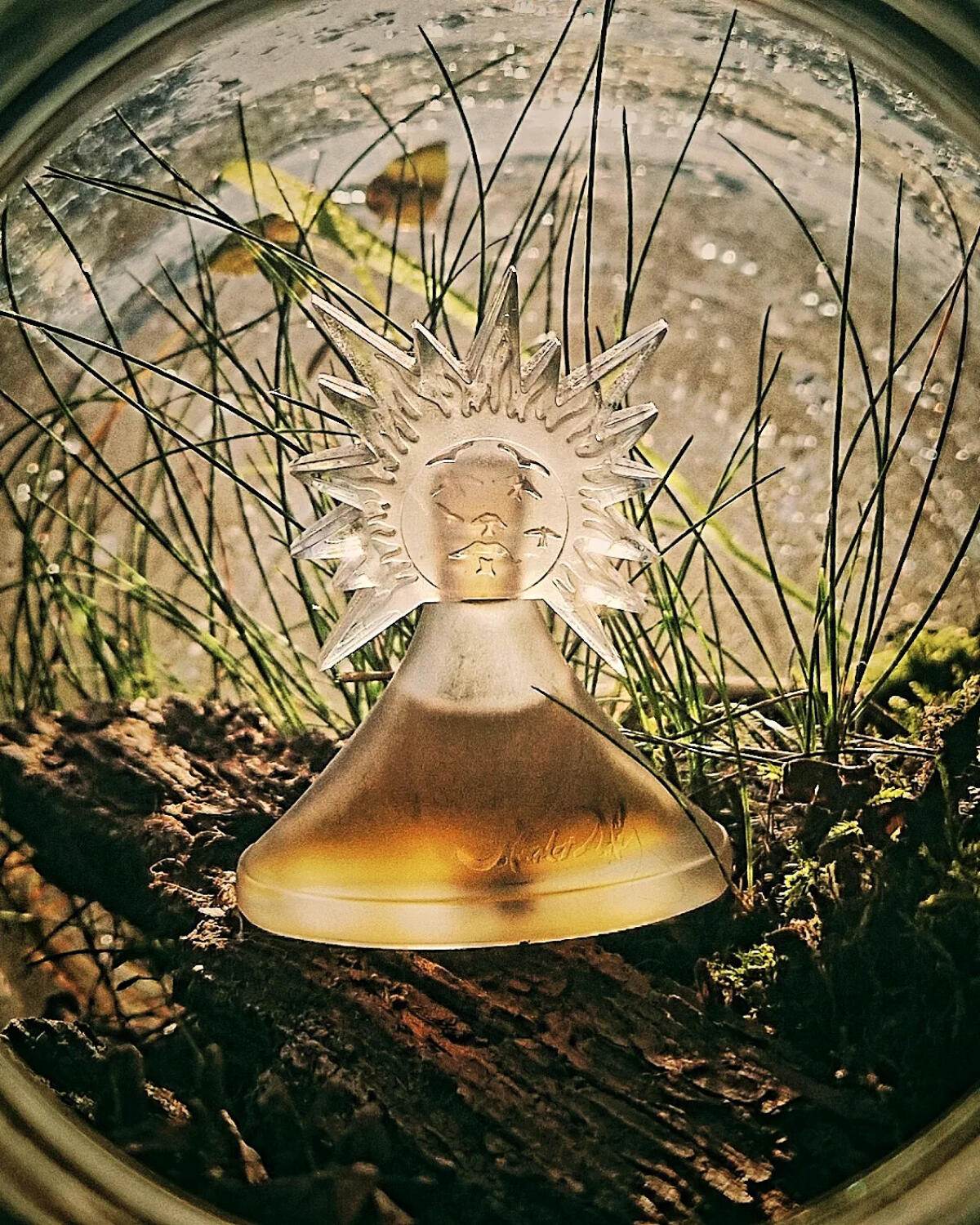 Le Roy Soleil Salvador Dali fragancia - una fragancia para Mujeres 1997