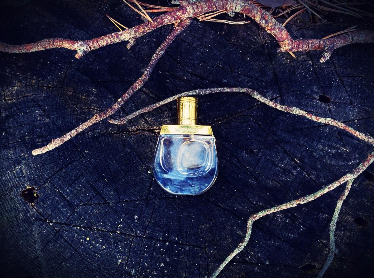 Nomade Jasmin Naturel Intense Chloé parfum - un nouveau parfum pour ...