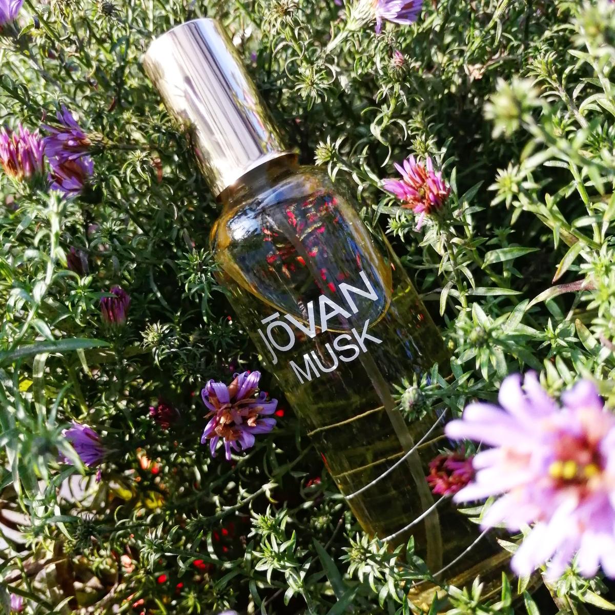 Musk Jovan parfum - een geur voor dames 1972